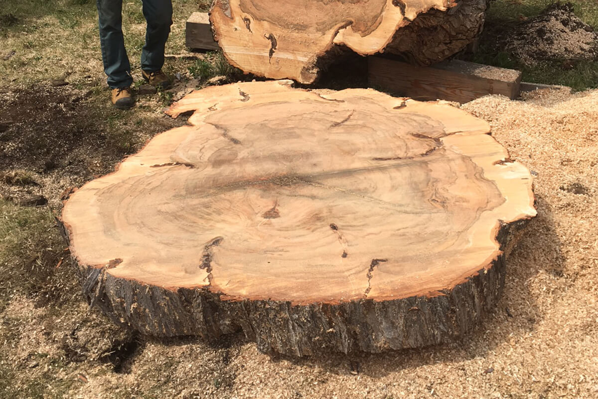 Raw Materials – Heritage Post & Beam
